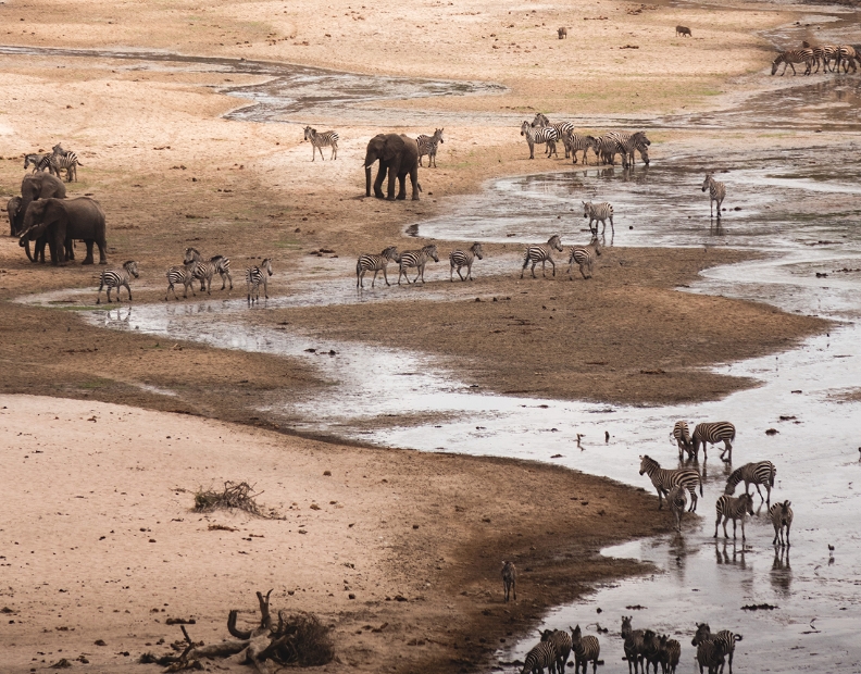 A Three Parks Expedition - Safari - Karani Expeditions