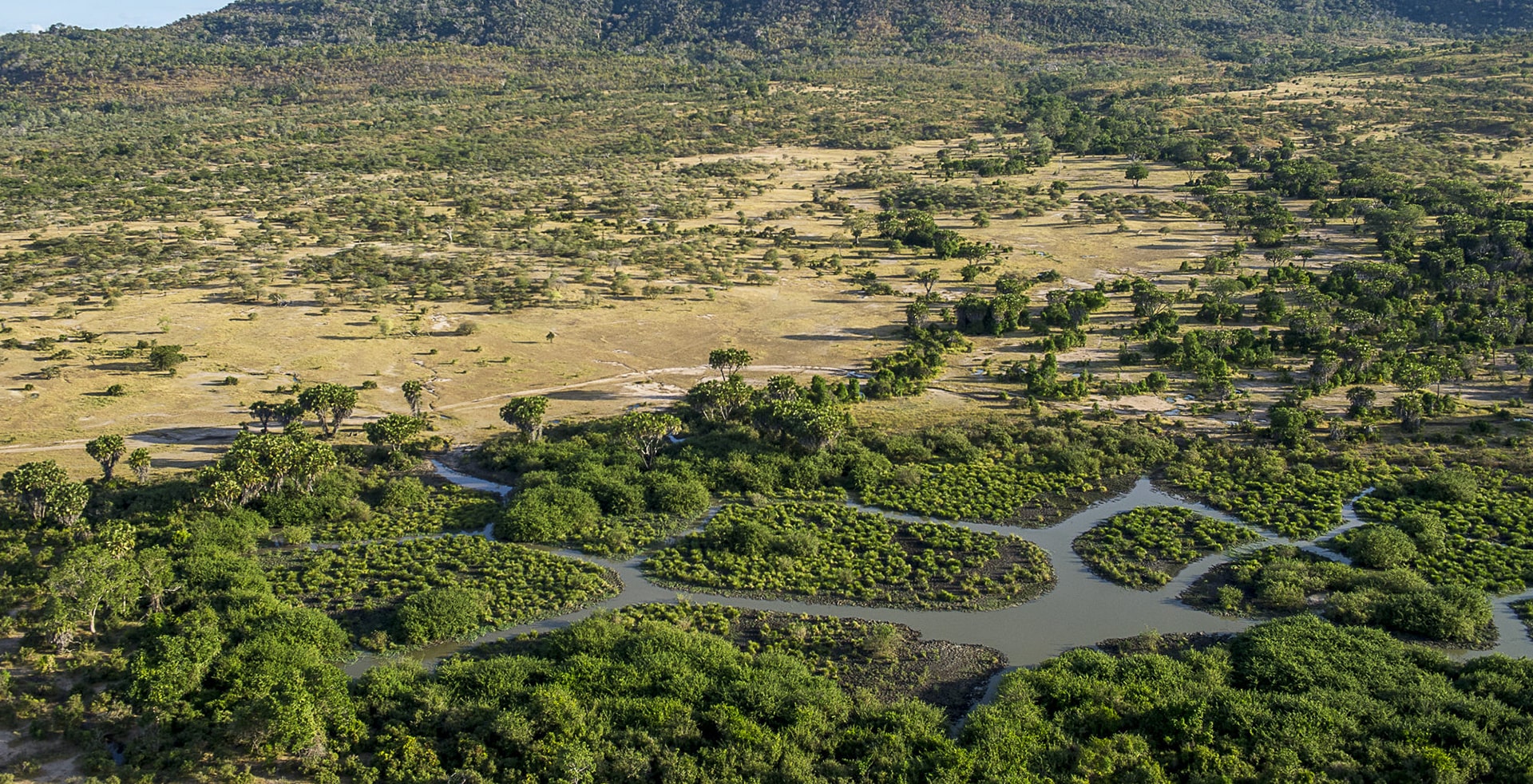 Selous Game Reserve - Karani Expeditions
